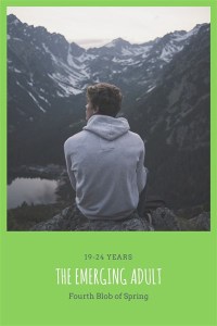 19-24 years (Emerging Adult) – Life Stages in Six-Year Blobs – Personal ...