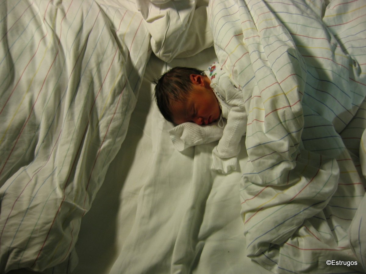 0-6 weeks (New-Born) – Life Stages in Blobs of Six