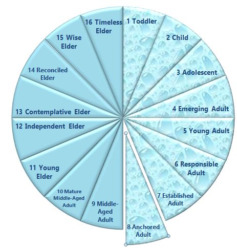43-48 years (Anchored Adult) – Life Stages in Six-Year Blobs – Personal ...