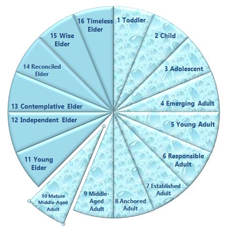 55-60 years (Mature Middle-Aged Adult) – Life Stages in Six-Year Blobs ...
