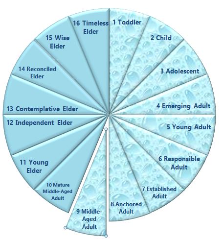 49-54 years (Middle-Aged Adult) – Life Stages in Six-Year Blobs ...