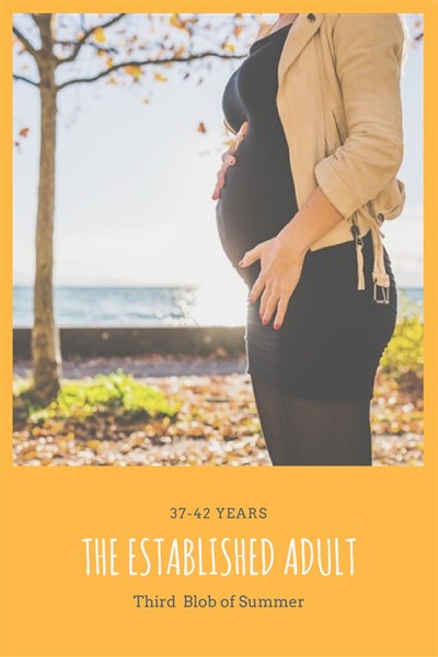 37-42 years (Established Adult) – Life Stages in Six-Year Blobs ...